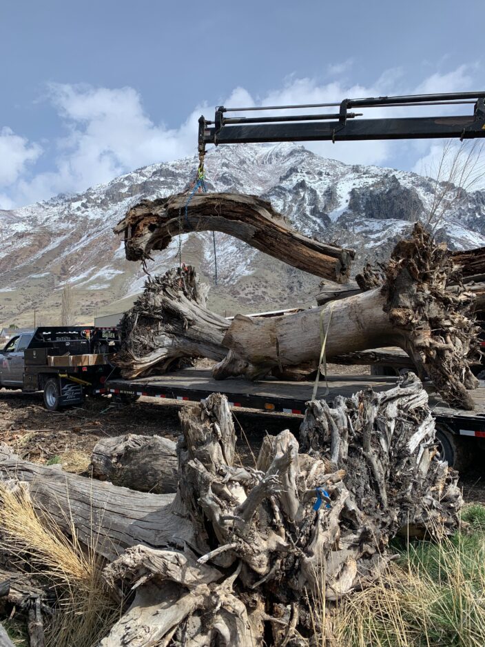 Officials make progress on Provo River Delta Restoration Project | News ...